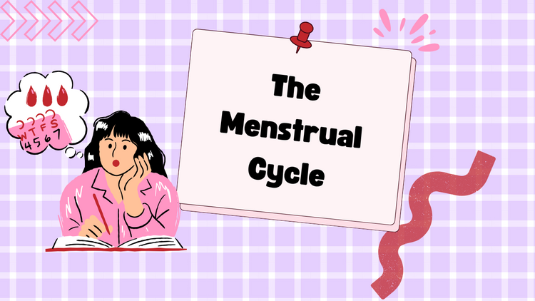Understanding Periods: A Simple Menstruation Guide for Every Women ...